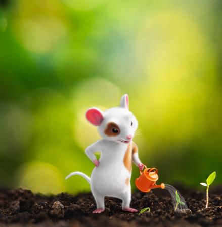 The Contemporary » Sorted