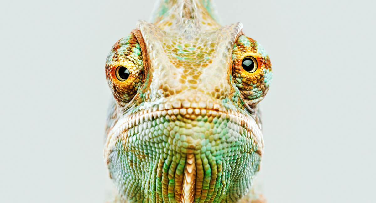 Tricks of the scamming trade » Sorted